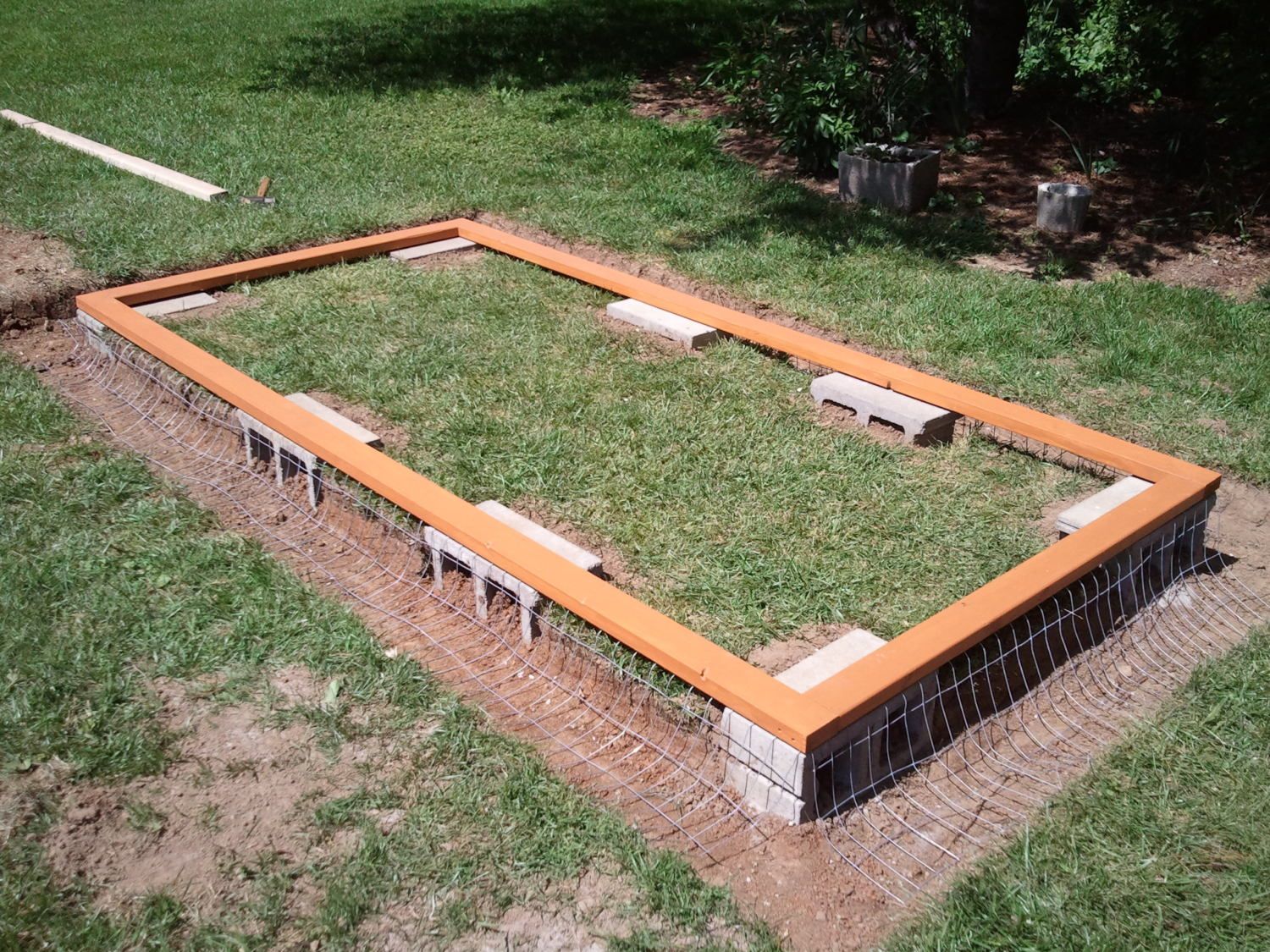 Bluegrass Coop Backyard Chickens Learn How To Raise Chickens
