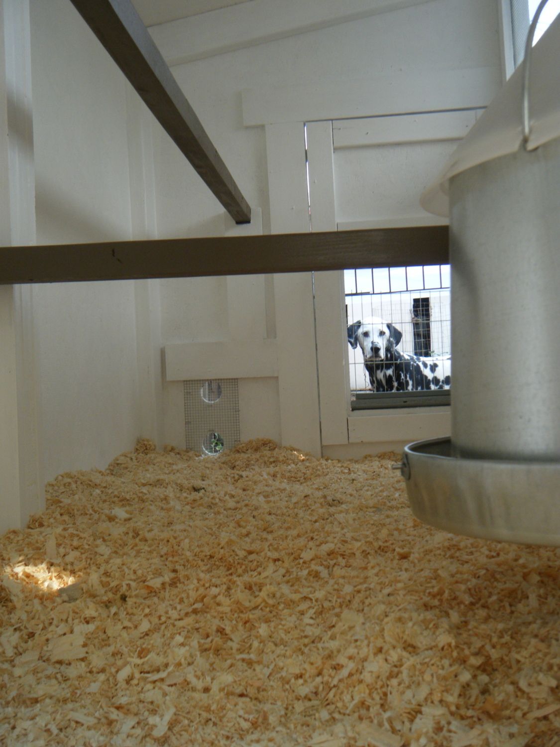 Post Your Chicken Coop Pictures Here Page 40 Backyard Chickens Learn How To Raise Chickens