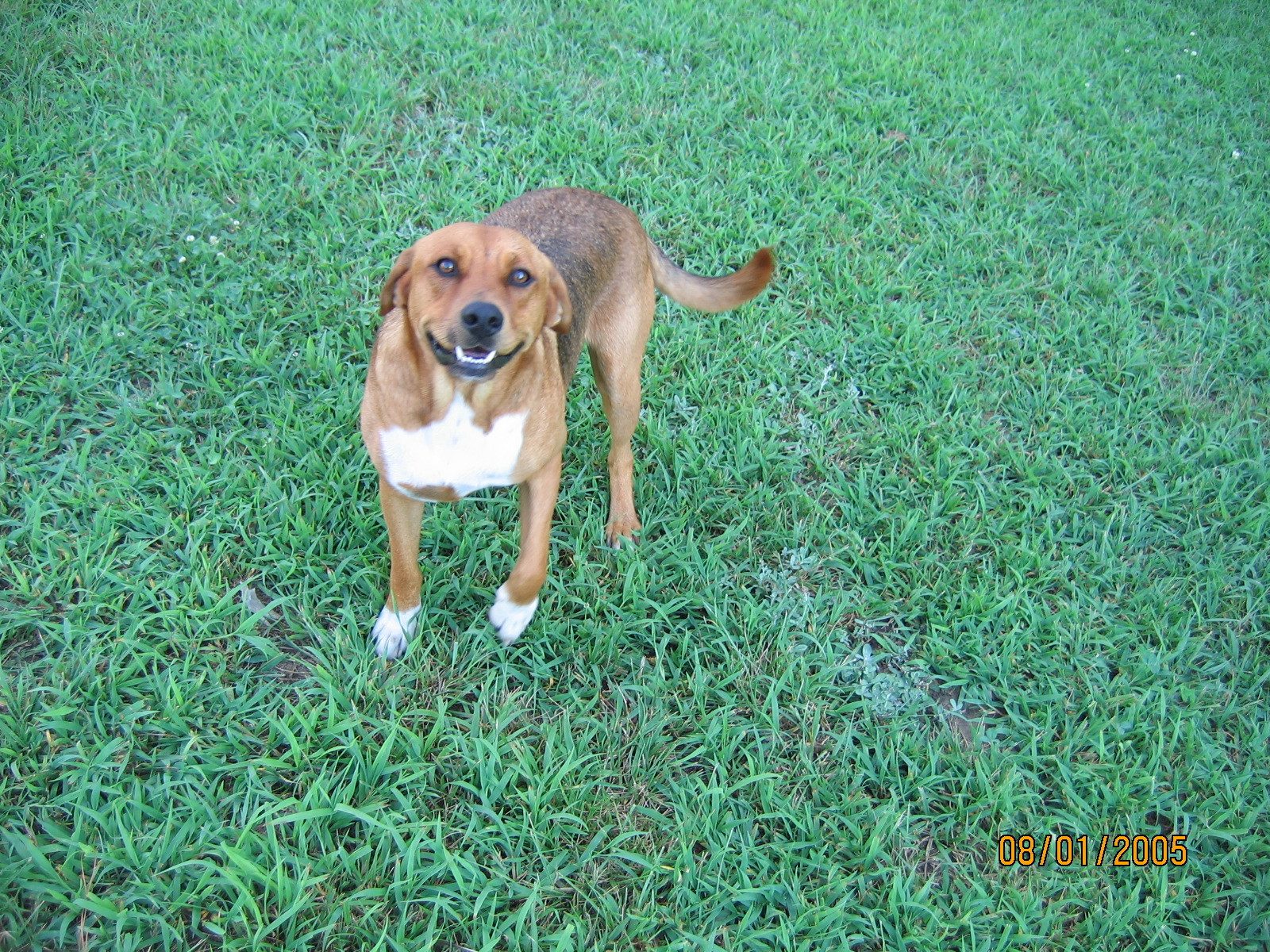 Farm Related Photography. Pictures are the best Advertisement! | Page ...